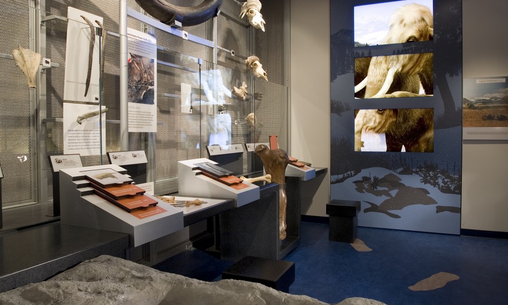 Virginia Museum of Natural History – Cortina Productions