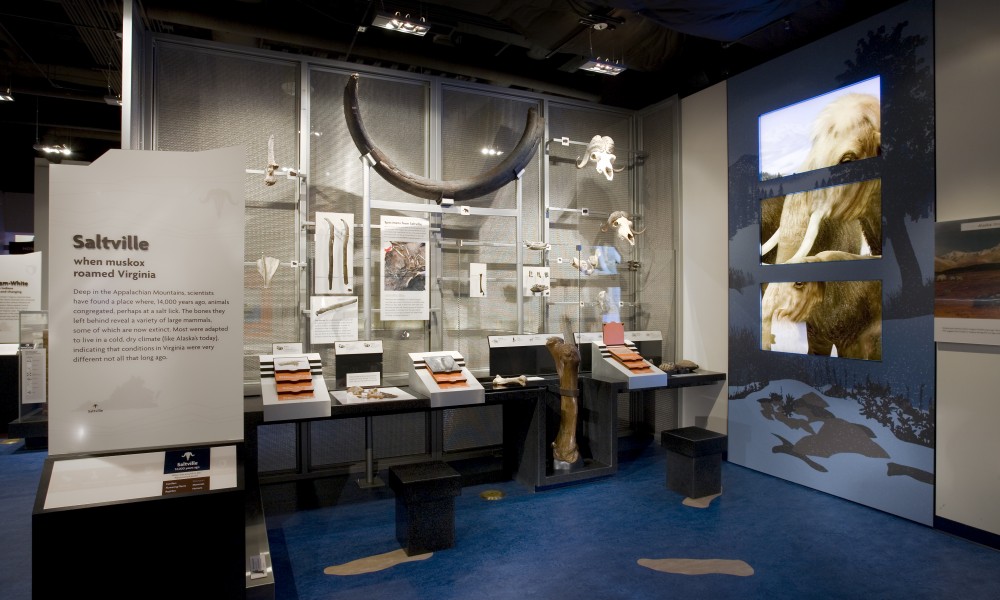 Virginia Museum of Natural History – Cortina Productions