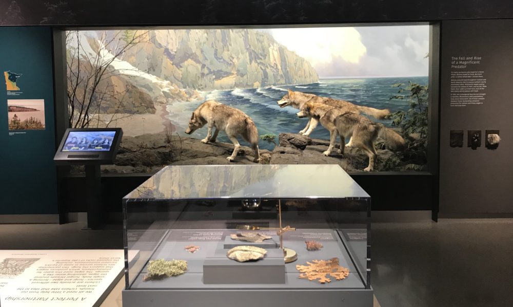 Bell Museum – Cortina Productions