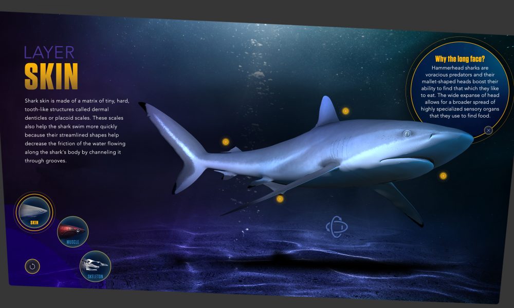 Georgia Aquarium - SHARKS! Predators of the Deep – Cortina Productions