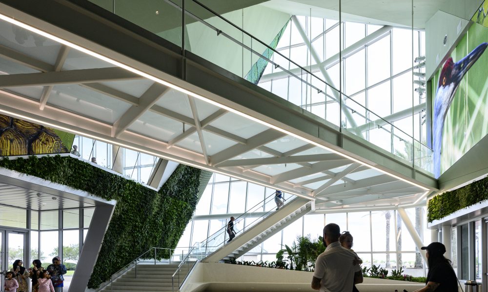 Redesigned Audubon Insectarium and Aquarium Reopens – Cortina Productions