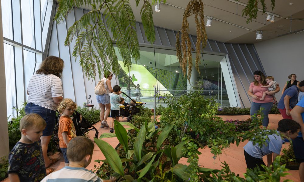 Redesigned Audubon Insectarium and Aquarium Reopens – Cortina Productions